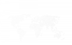 Midori Auto Leather Mexico - Premium Global Auto Leather Solutions