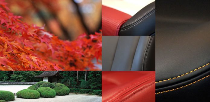 Midori Auto Leather: Color & Design